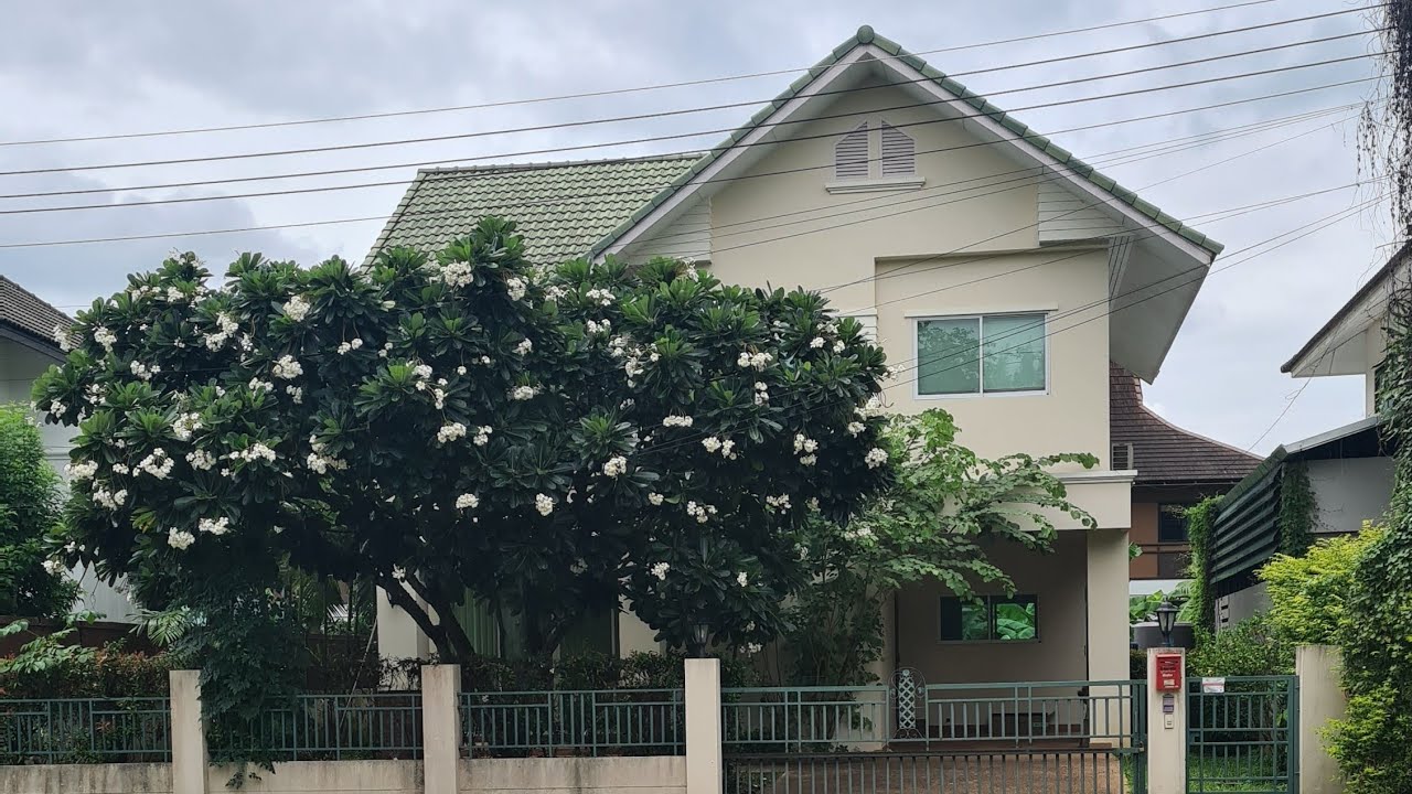 The "Bad Luck House" Thai superstition edition. - YouTube