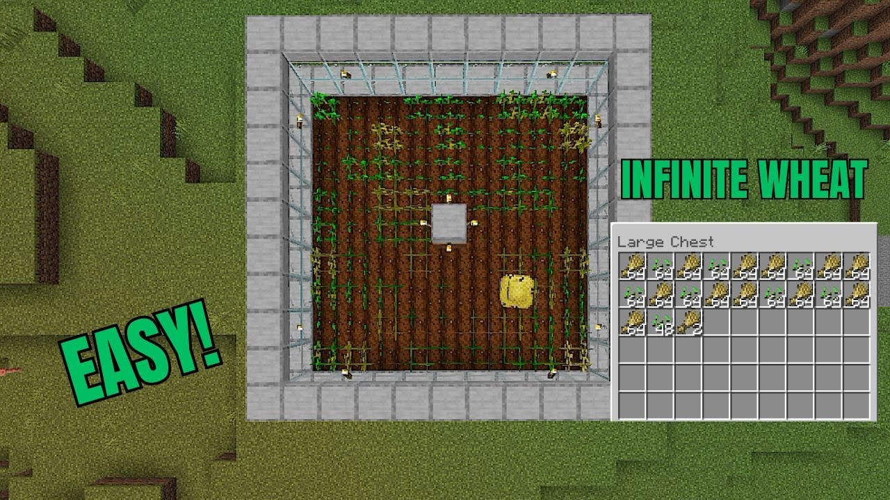 SIMPLE FULLY AUTOMATIC WHEAT FARM TUTORIAL in Minecraft Bedrock (MCPE ...