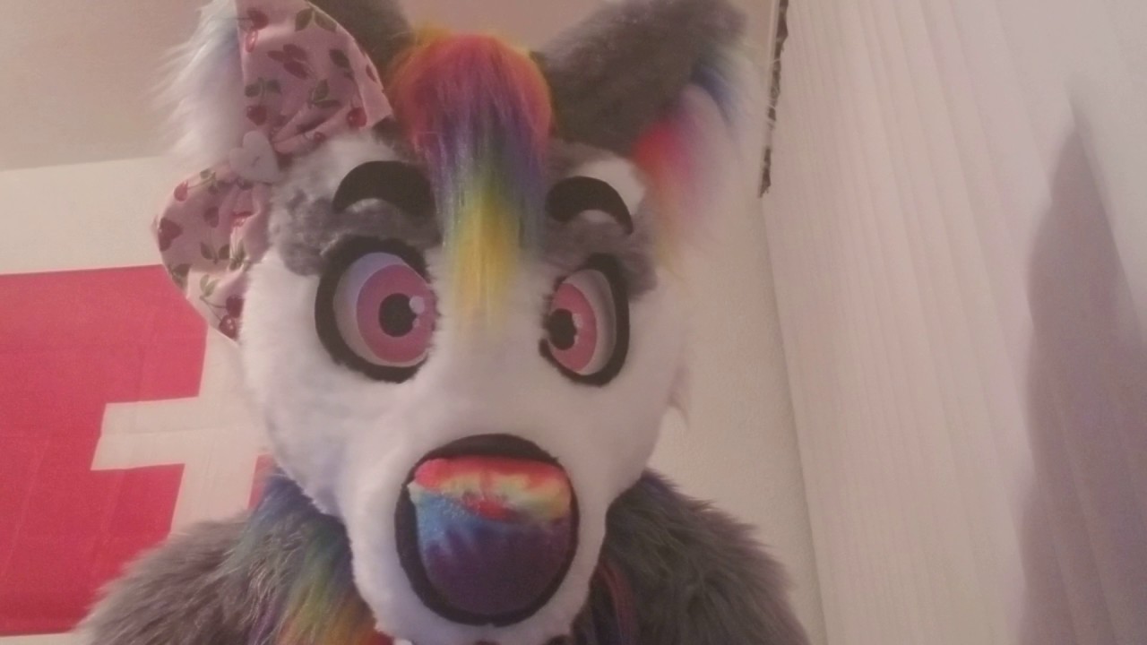 Questions and Answers about furry part 3! - YouTube