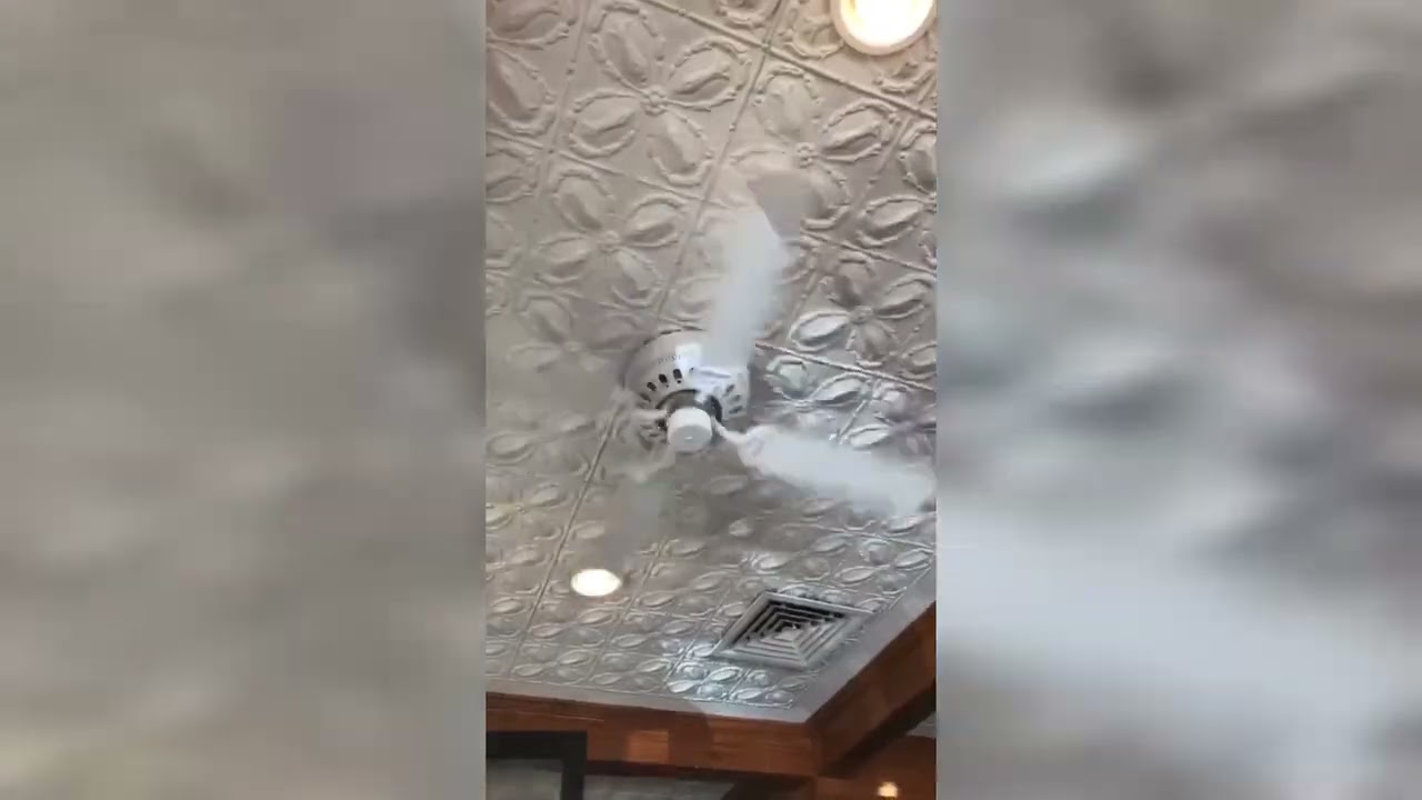 Hugger Ceiling Fans in a fancy Burger King - YouTube