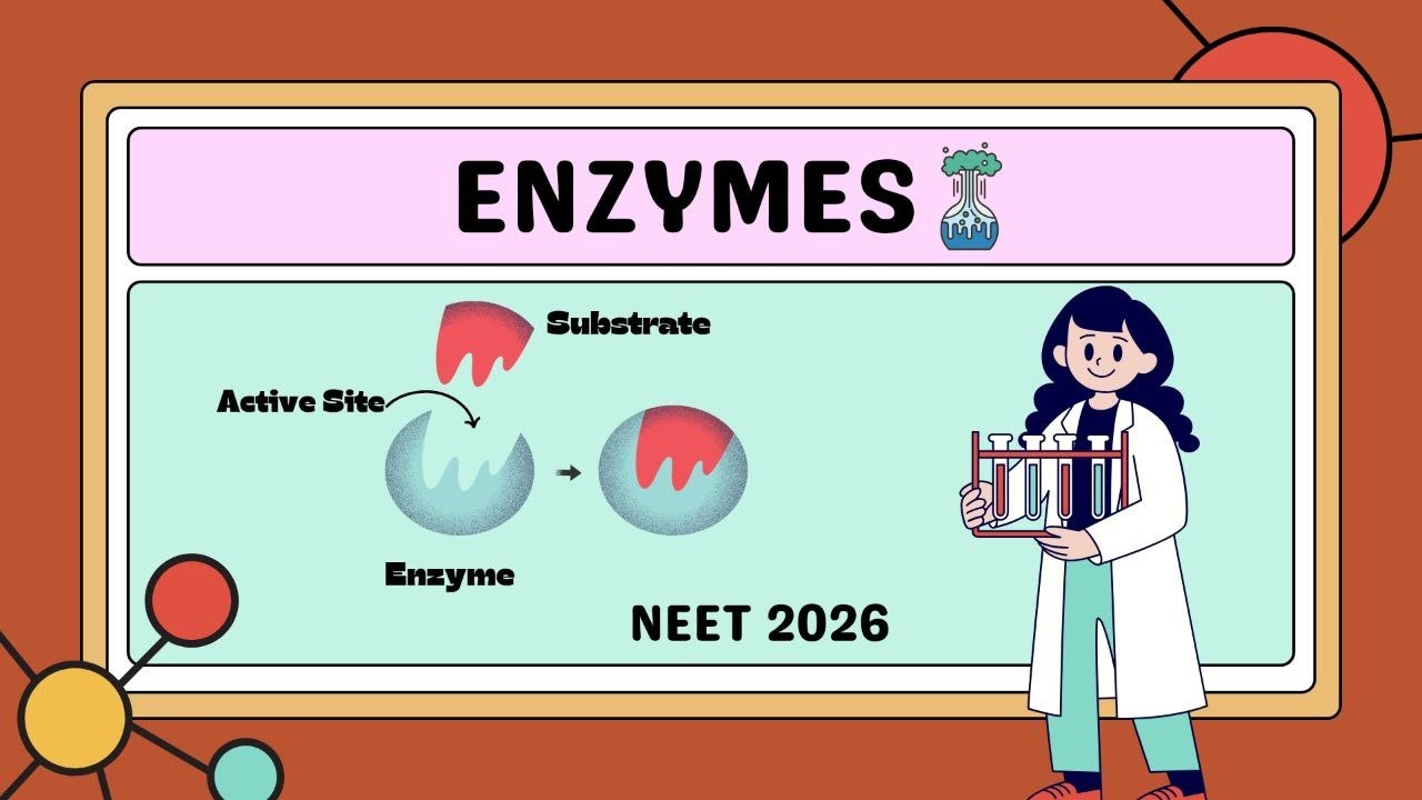 Enzymes Part 1 | NEET 2026 | NCERT Class 11 Biology | Karanjeet Kaur ...