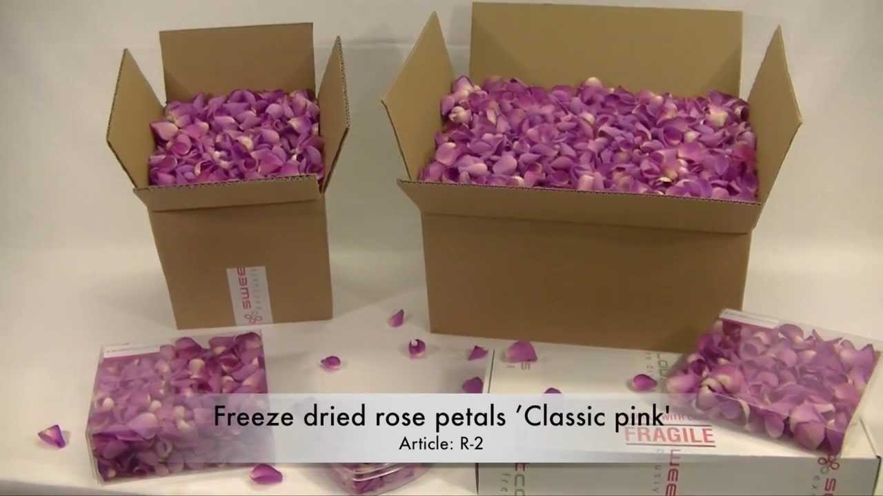 Freeze dried rose petals 'Classic pink' - YouTube