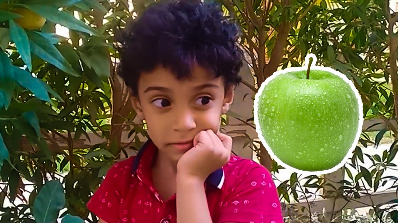 the apple video for kids to show there how apple is born in tree if u ...