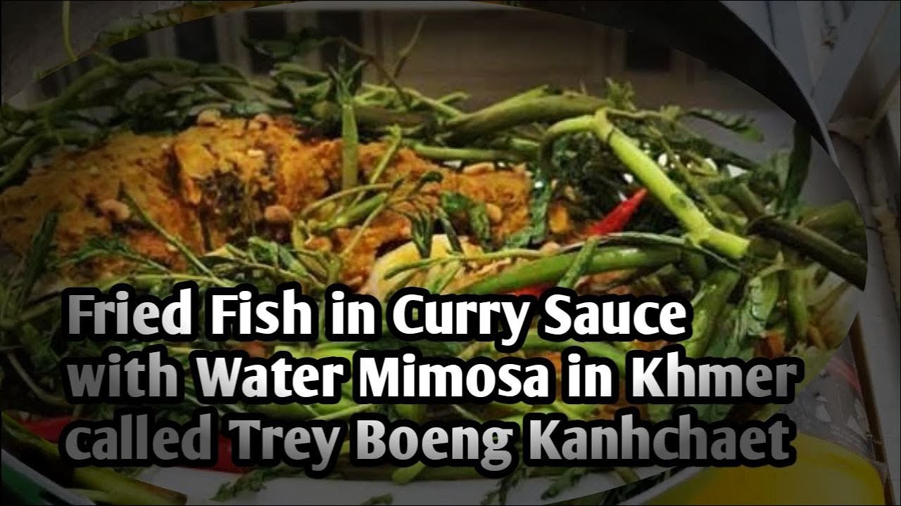 Fried Fish in Curry Sauce with Water Mimosa in Khmer called Trey Boeng ...