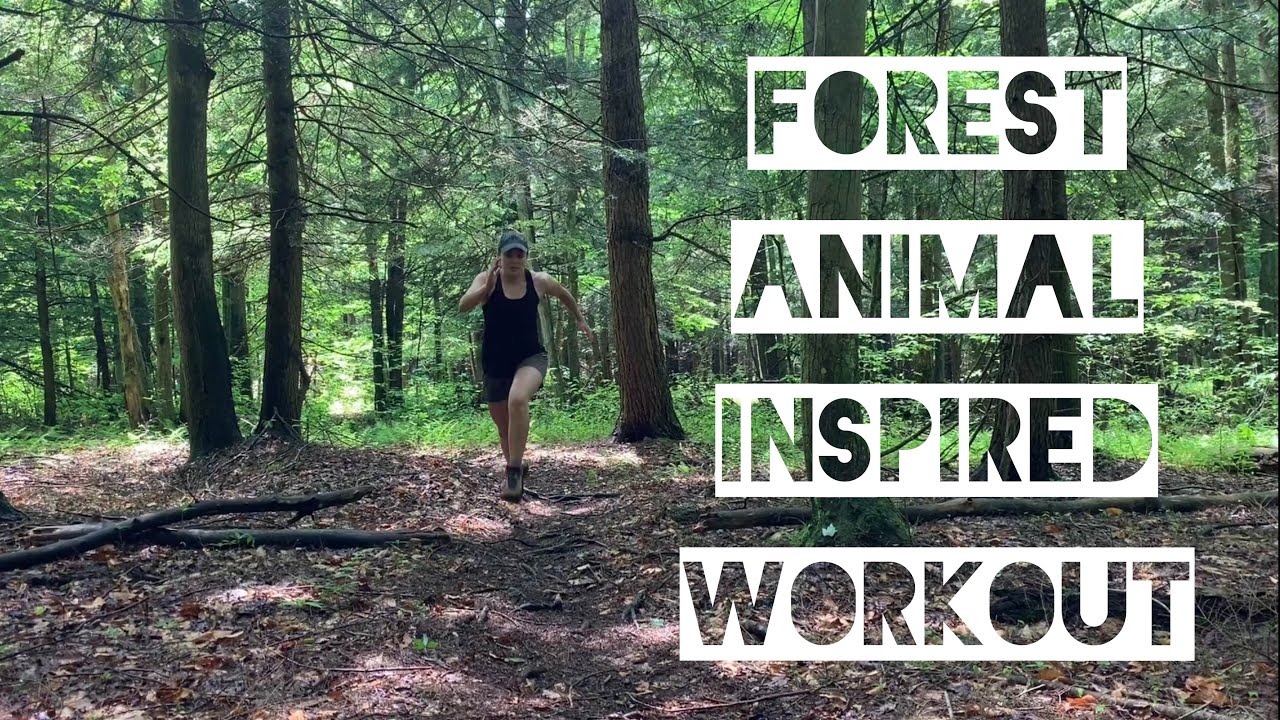 Forest Animal Inspired Workout - YouTube