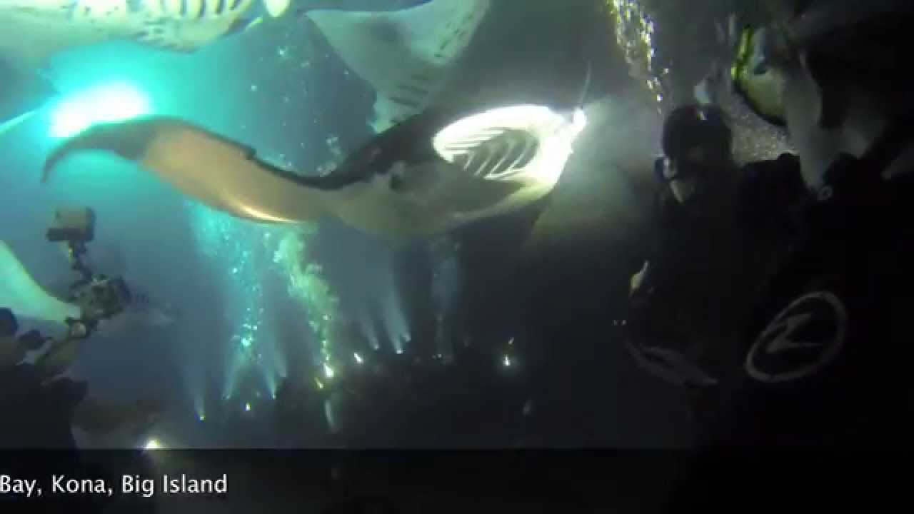 Patrick Hawaii Diving 2014 - YouTube