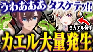 kinako（Crazy Raccoon） / ブィレーダー - Vtuber情報