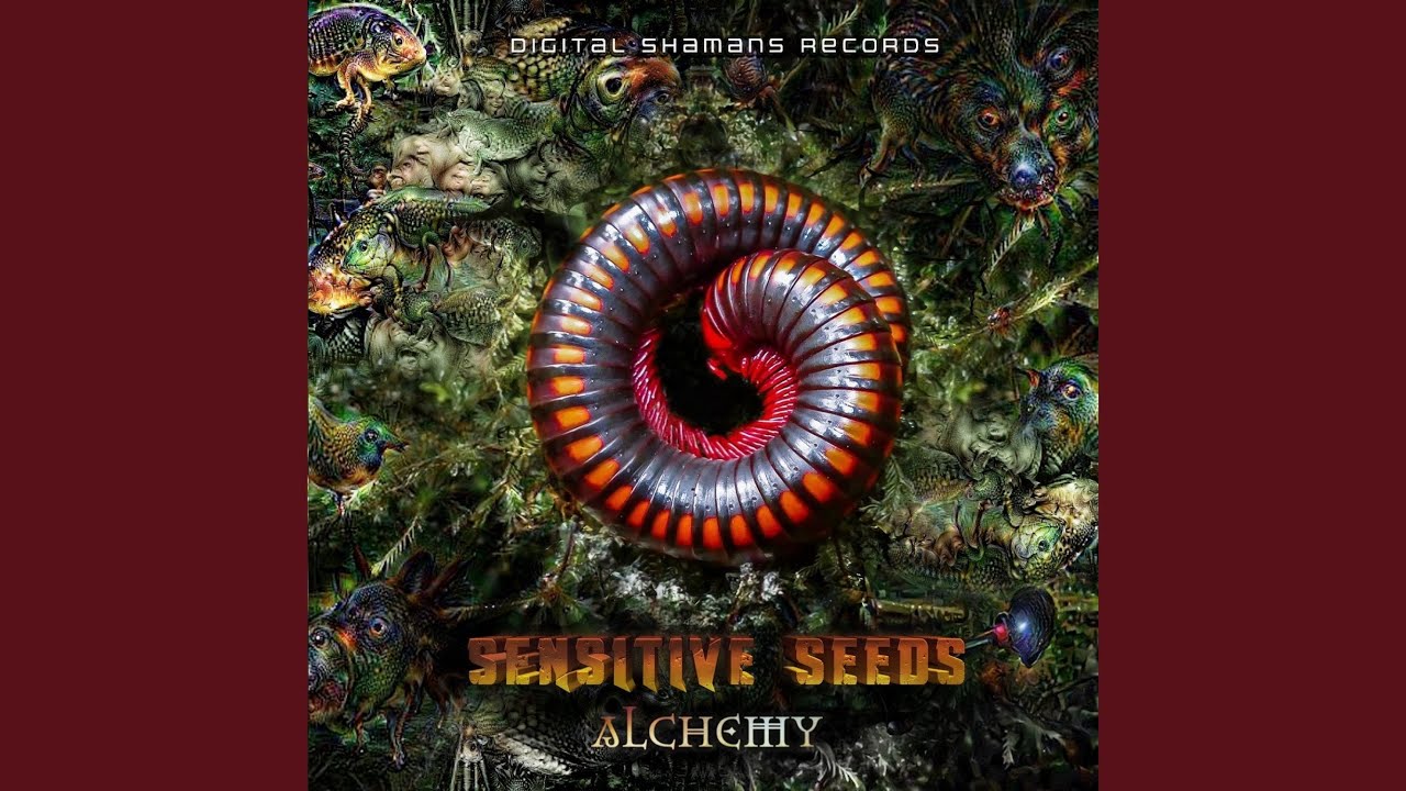 Alchemy (Original Mix) - YouTube