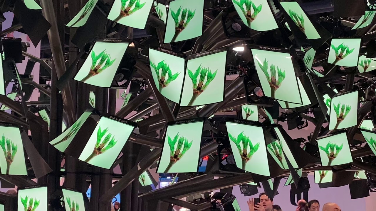 CES2020 - Royole Tree - YouTube