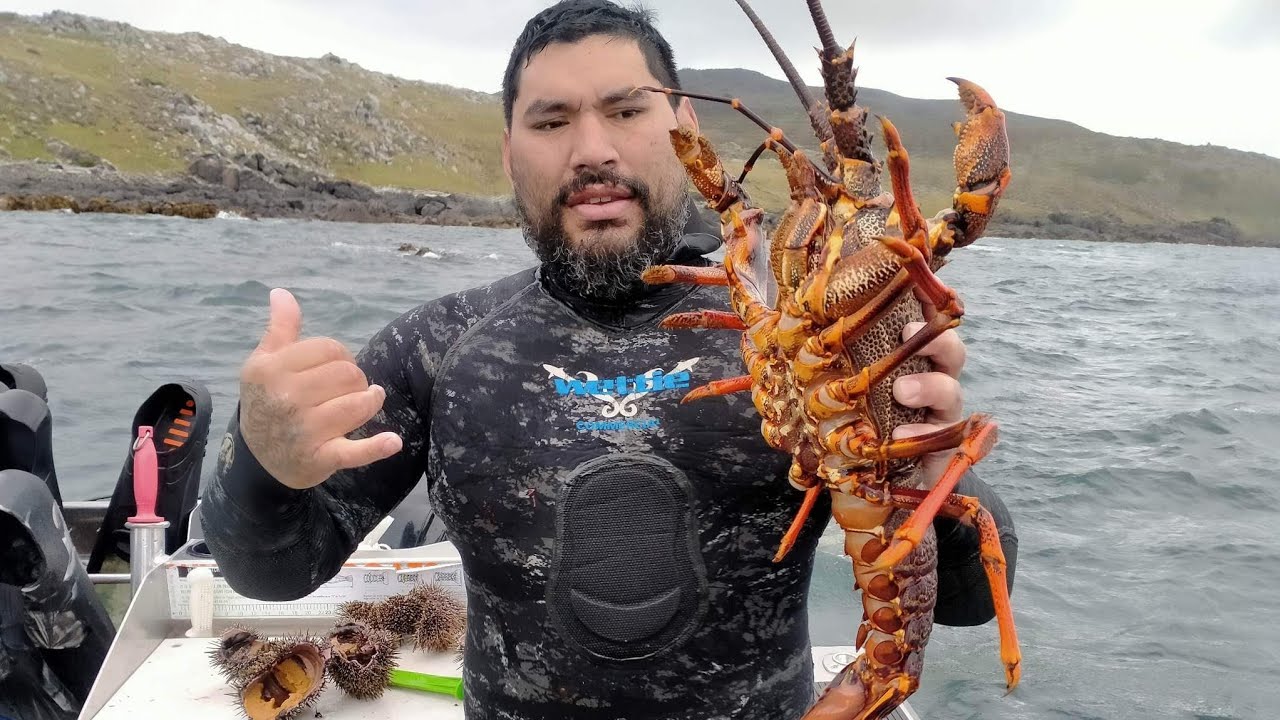 Giant Deep South kina Mega crays Blue cod Super Paua Bluff Southland ...