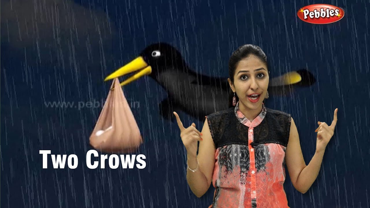 Moral Stories in Gujarati For Children | The Two Crows Story ...