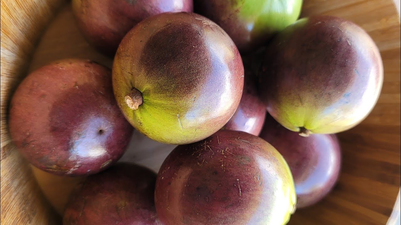 Lara Farms Purple Star Apple Delivery+Tasting😋 - YouTube