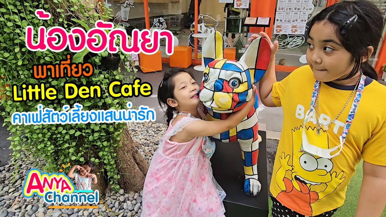 อัณยาพาเที่ยว Little Den Cafe คาเฟ่สัตว์เลี้ยงแสนน่ารัก - YouTube