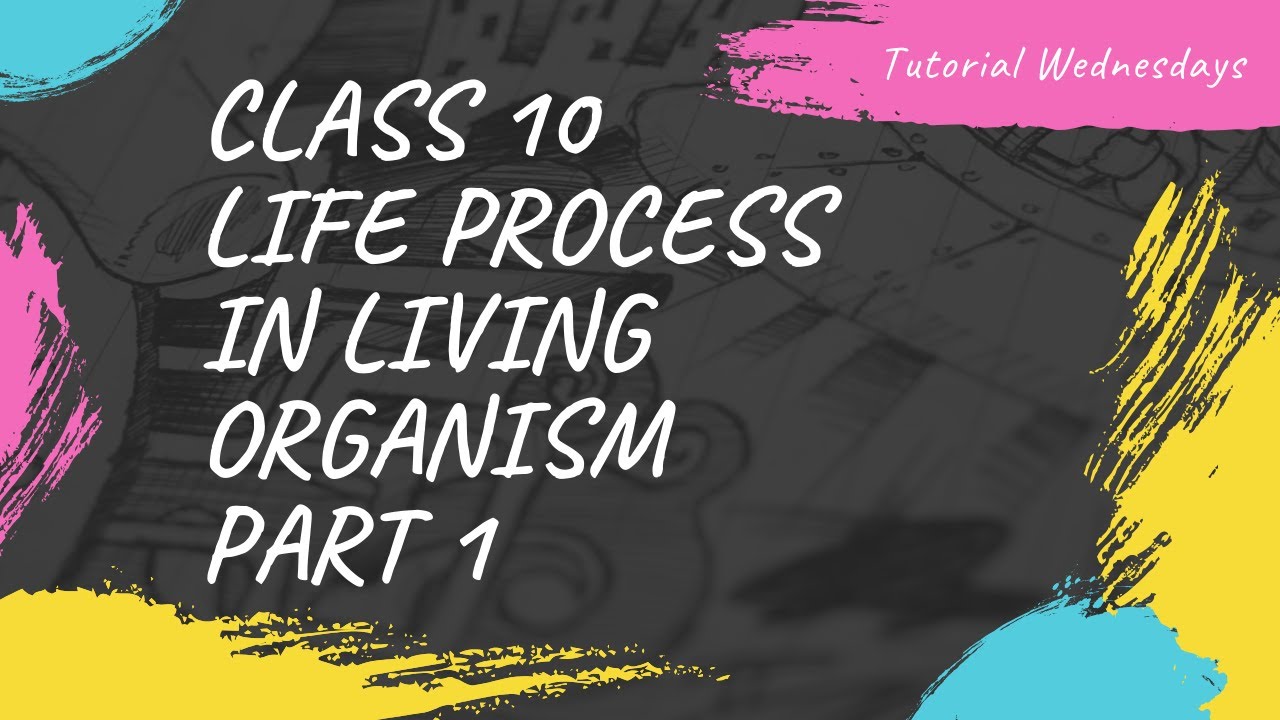 Class 10 Life Process in Living Organism Introduction part 1 pg no. 12 ...