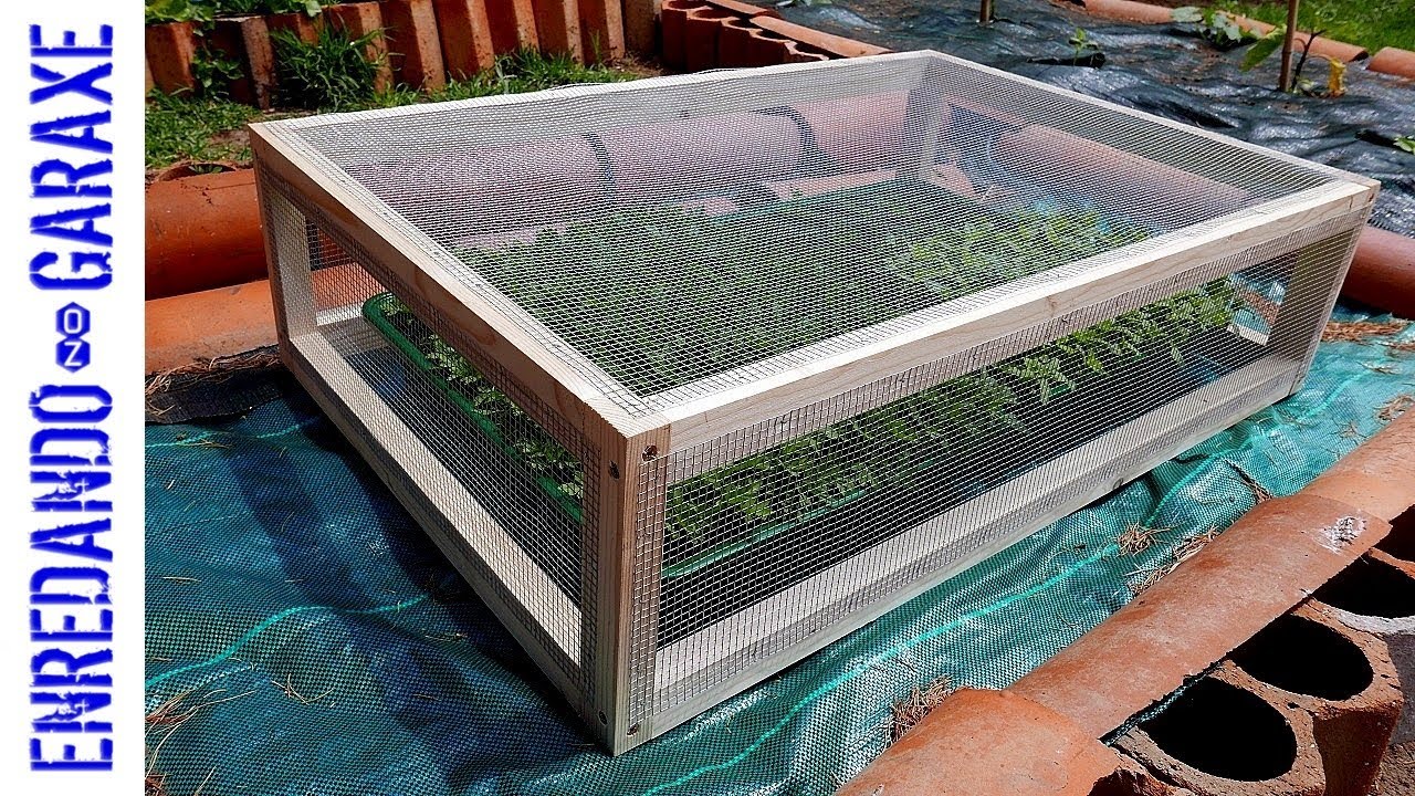 How to protect seedbeds 🐦🐱 - YouTube