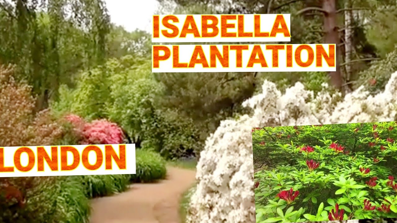 RICHMOND PARK TOUR /ISABELLA FLOWER PLNTATION /LONDON - YouTube