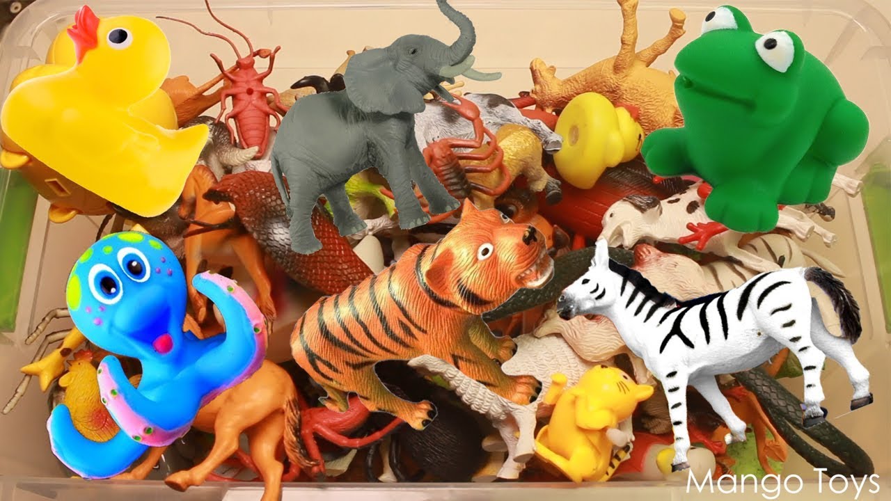 Learn Wild Zoo Animals And Sea Animal Names in Magic Sand Box Education ...