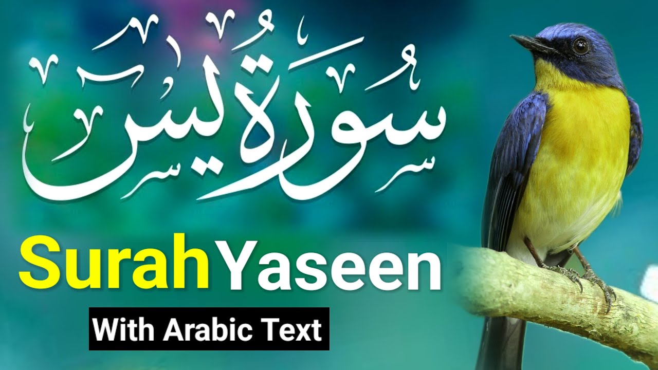 Surah Yaseen | Quran Tilawat | Beautiful Yaseen Recitation 2024 | Ep ...