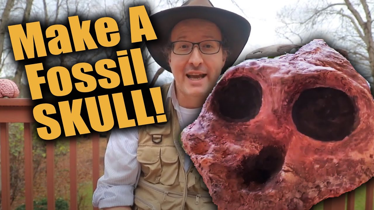 Make a FOSSIL HUMAN SKULL & Learn About Evolution Too! - YouTube