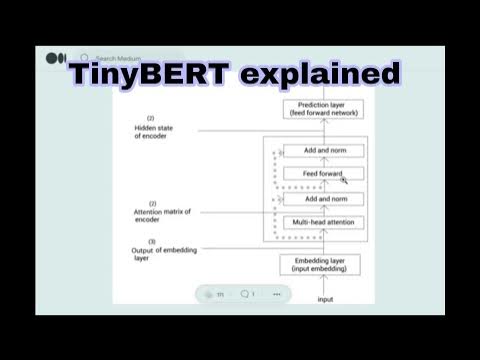 TinyBERT explained - YouTube
