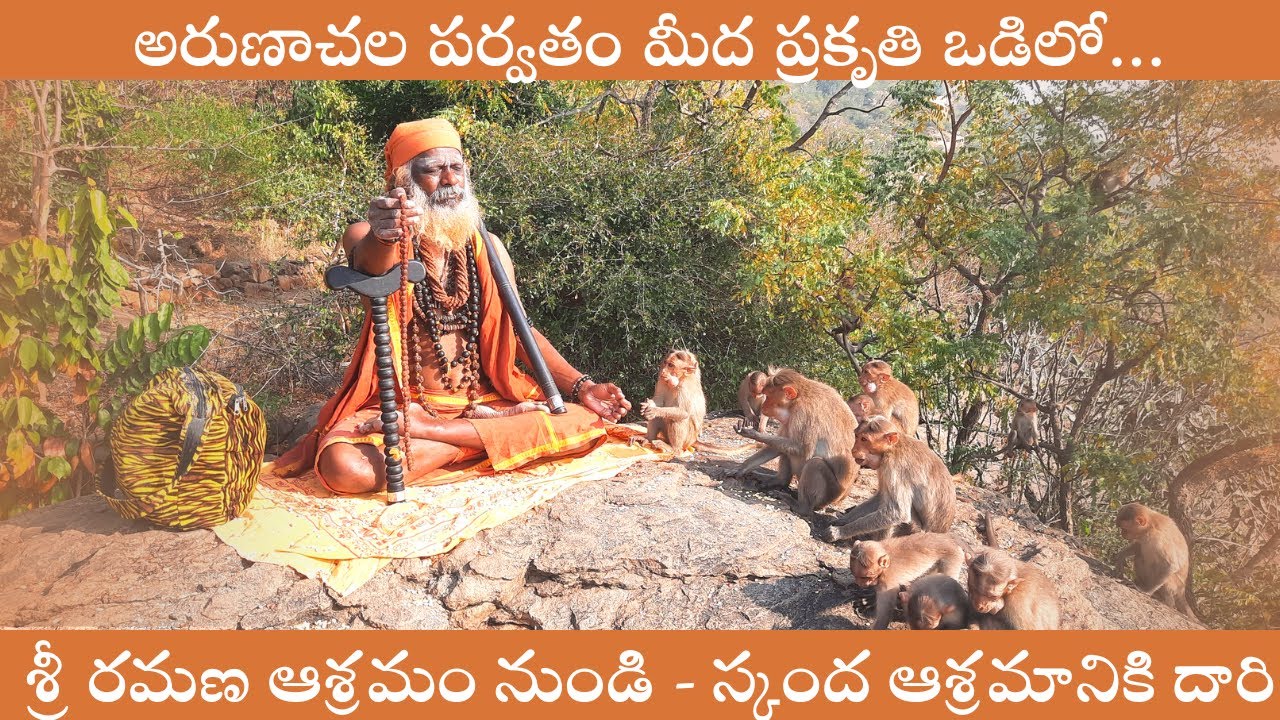 Skanda Ashram & Arunachala Hill: A Divine Journey in Tiruvannamalai ...