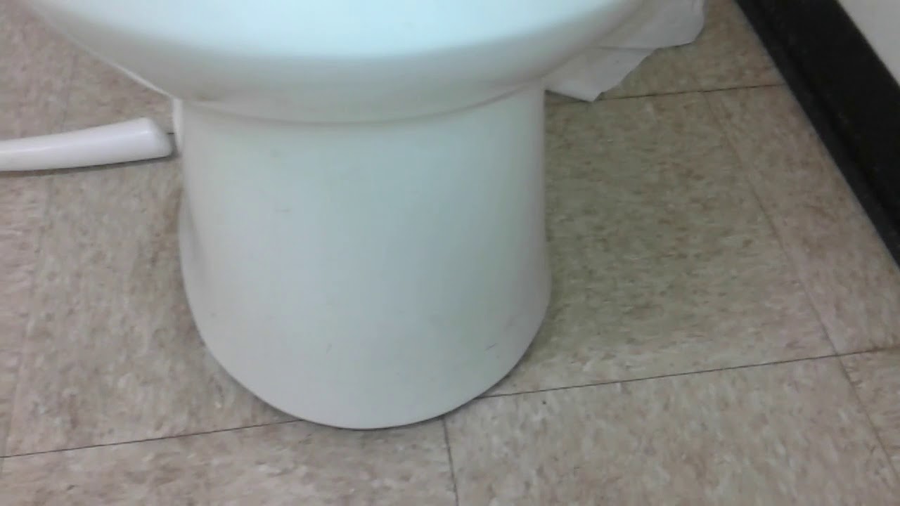 325. A Vortens Rhodas Toilet At Pet Supermarket - YouTube
