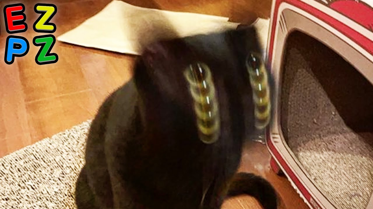 r/Blursedimages · *nodding intensifies* - YouTube