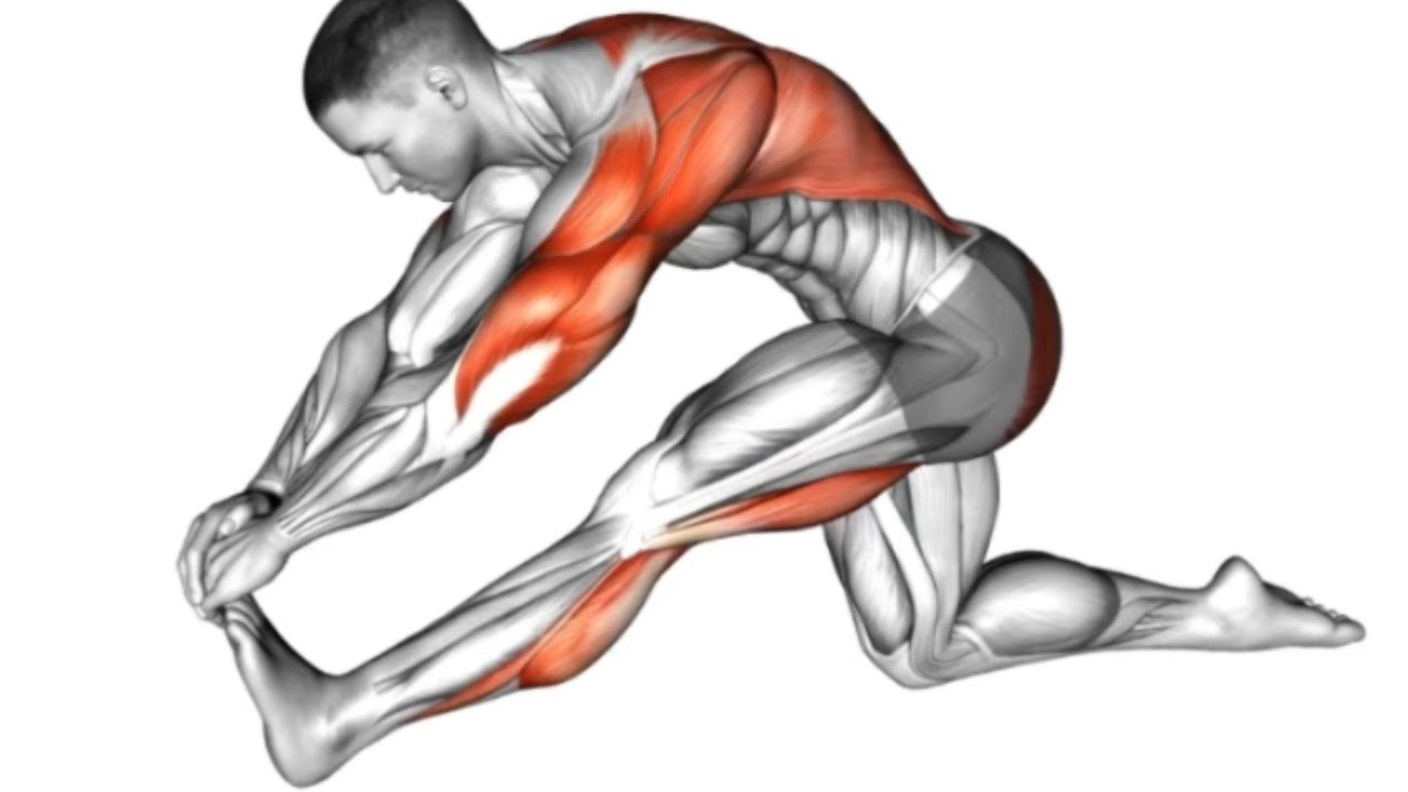 Full Leg Stretch Routine for Hamstrings Butt and Hips | Let's Get Fit ...