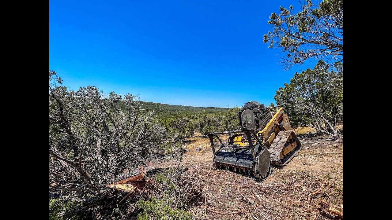 CAT 299 D3 XE forestry mulching on a hill side. - YouTube