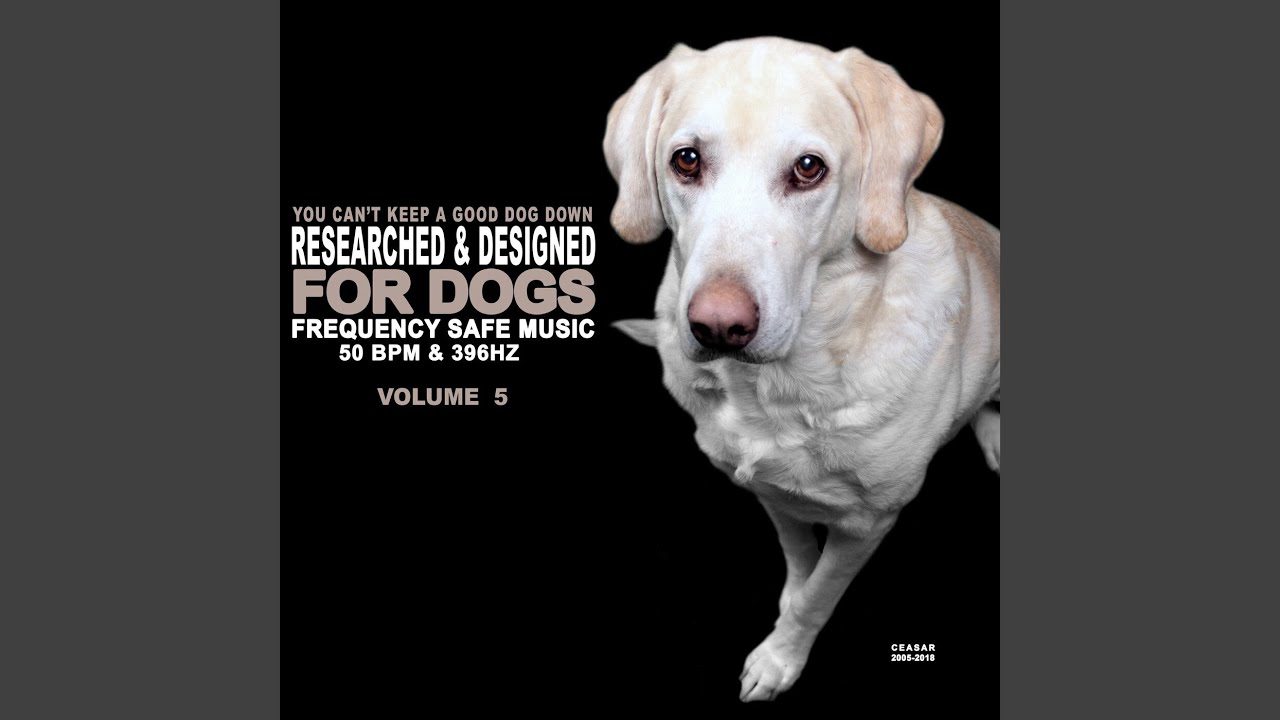 You Make It Pawsible - YouTube