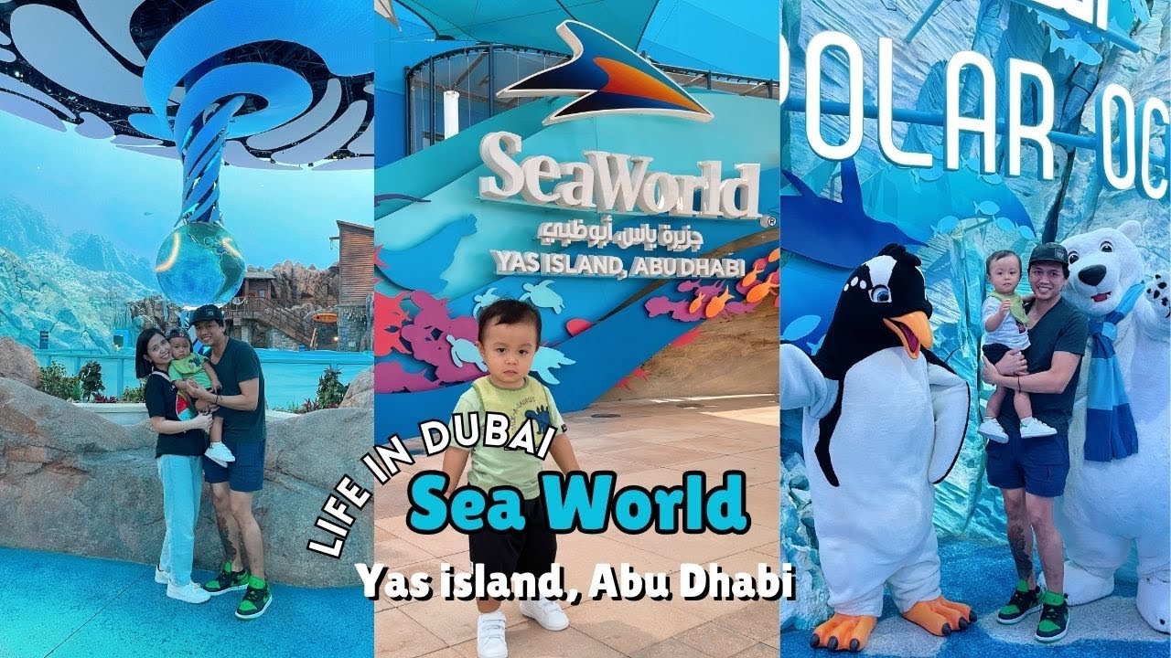 Life in Dubai 🇦🇪 | [4K] Sea World at Yas Island, Abu Dhabi - YouTube