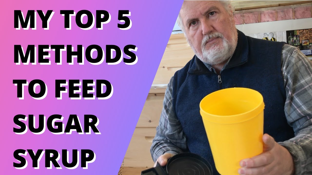 My top 5 methods to feed sugar syrup - YouTube