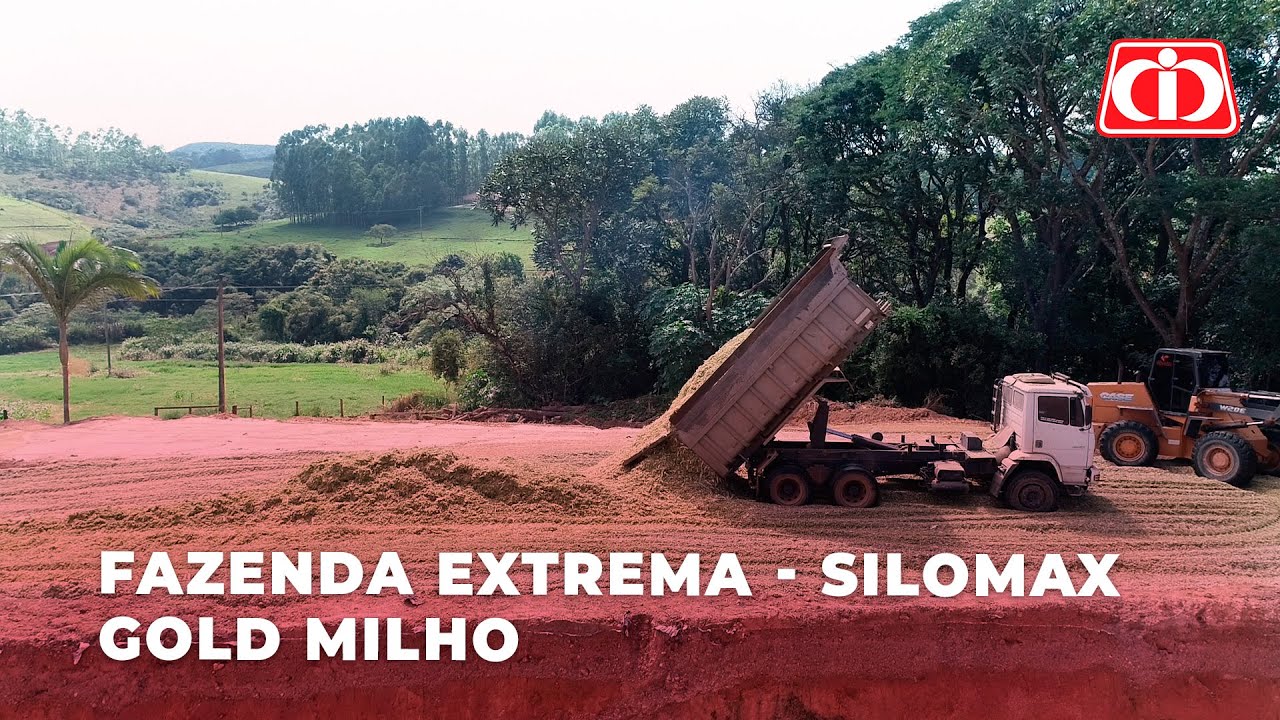 Inoculantes Silomax Gold Milho Matsuda gera maior aproveitamento da ...