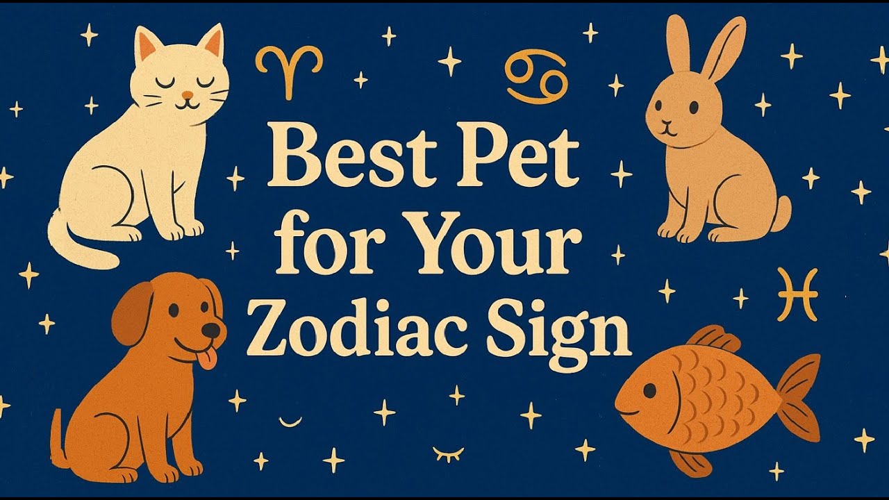The Ideal Pet for Your Zodiac Sign | Find Out Which Animal Matches Your ...