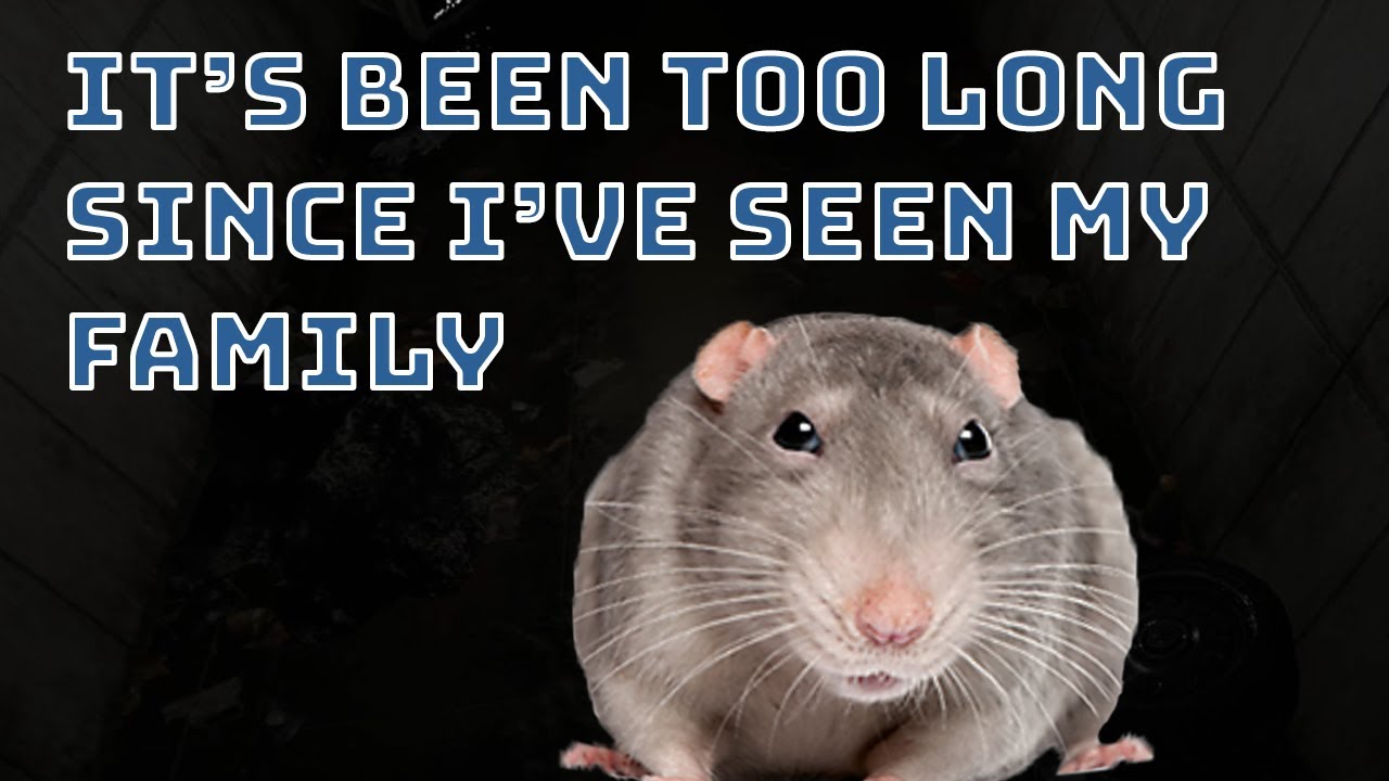 I Am Rat. I Must Return To My Family. - YouTube