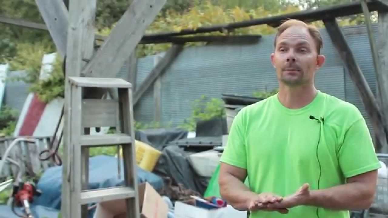 Scrappy Pappy's - Show Of Hands p2 - YouTube