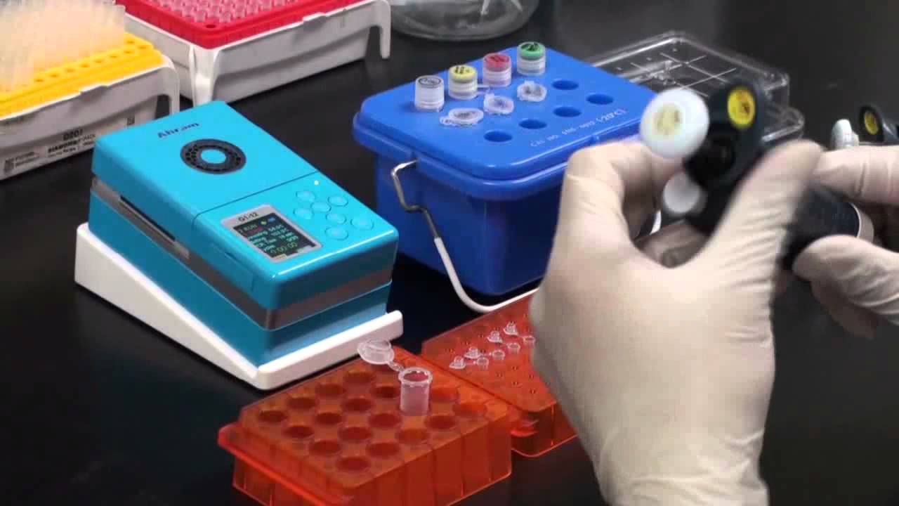 Palm PCR gadget - YouTube