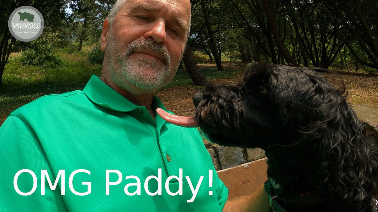 Paddy has qualified as a painter and decorator! #cockapoo #funny - YouTube