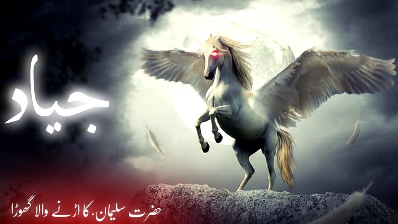 Hazrat Sulaiman as ka Urna Wala Ghora | jaiad | Flying horse of prophet Solomon| Pegasus horse ...