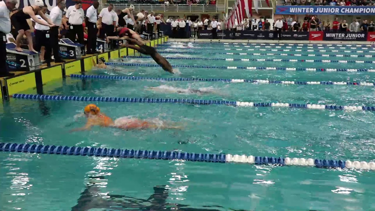 Dynamo Swim Club Determined Women s 200y Medley Relay Heat 2 YouTube dynamo-swim-club-determined-women-s-200y-medley-relay-heat-2-youtube