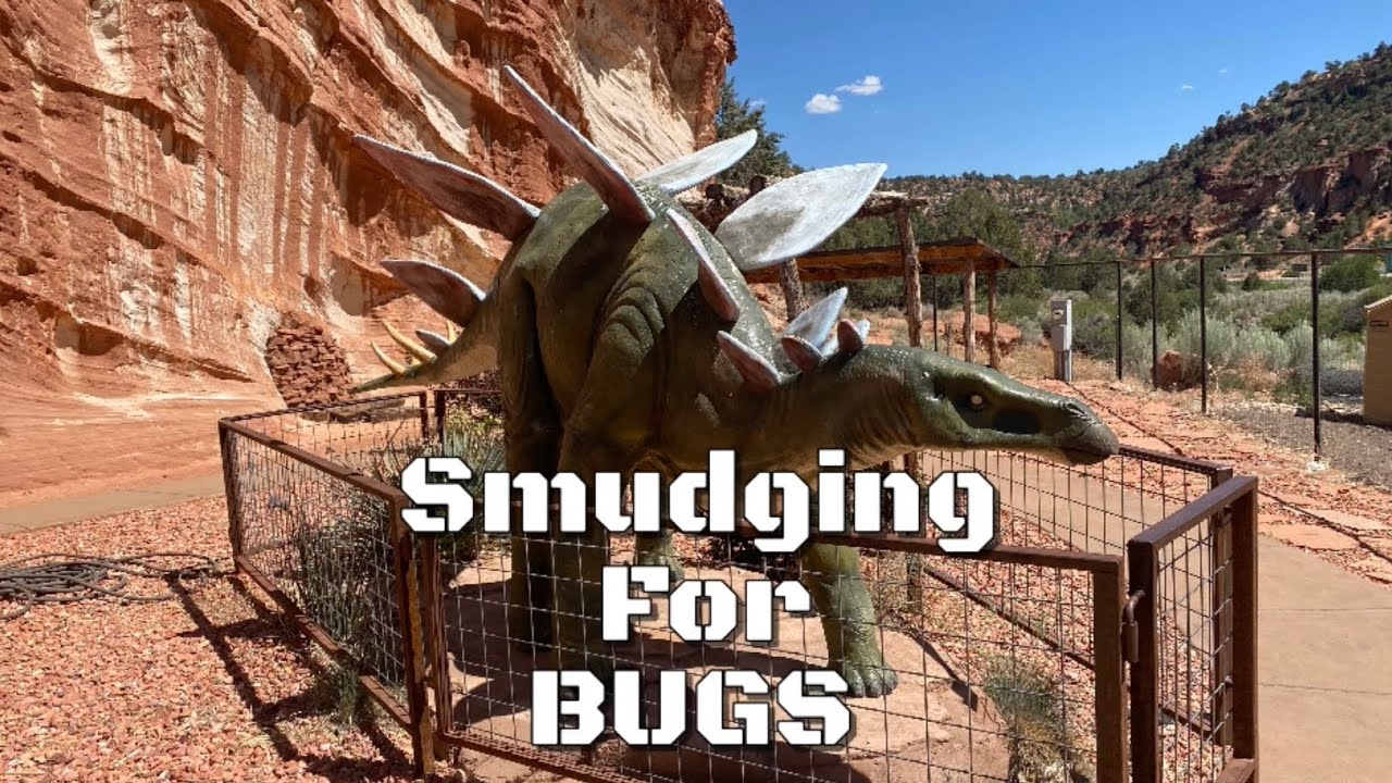 Smudge | 4 | Bugs - YouTube