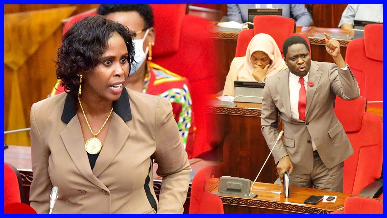 ESTER BULAYA AKIWASHA: WAZIRI NJOO HAPA UTUAMBIE| UNATUMIWAMIWA VIBAYA ...