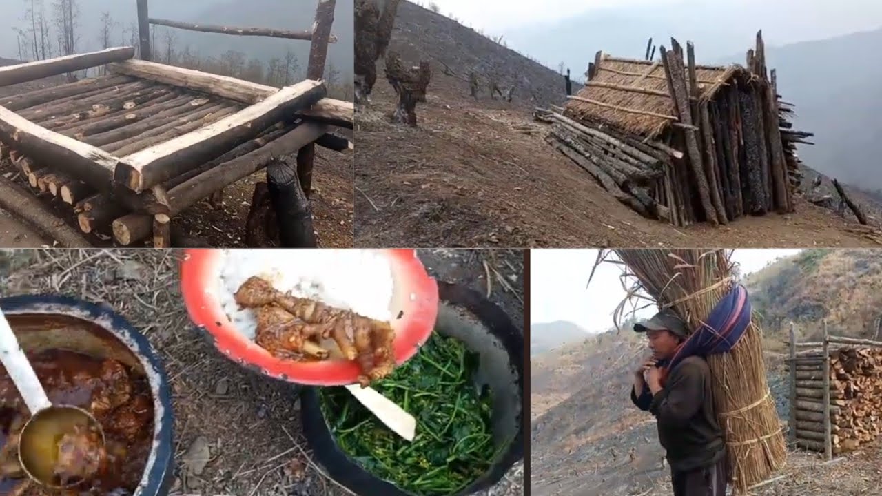 making jhum fields in Nagaland/Cultivation Hut House/ - YouTube