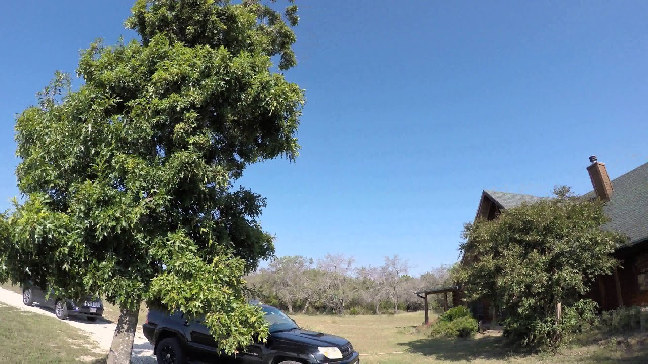 GoPro Hero 4 Black - 4K sample - YouTube