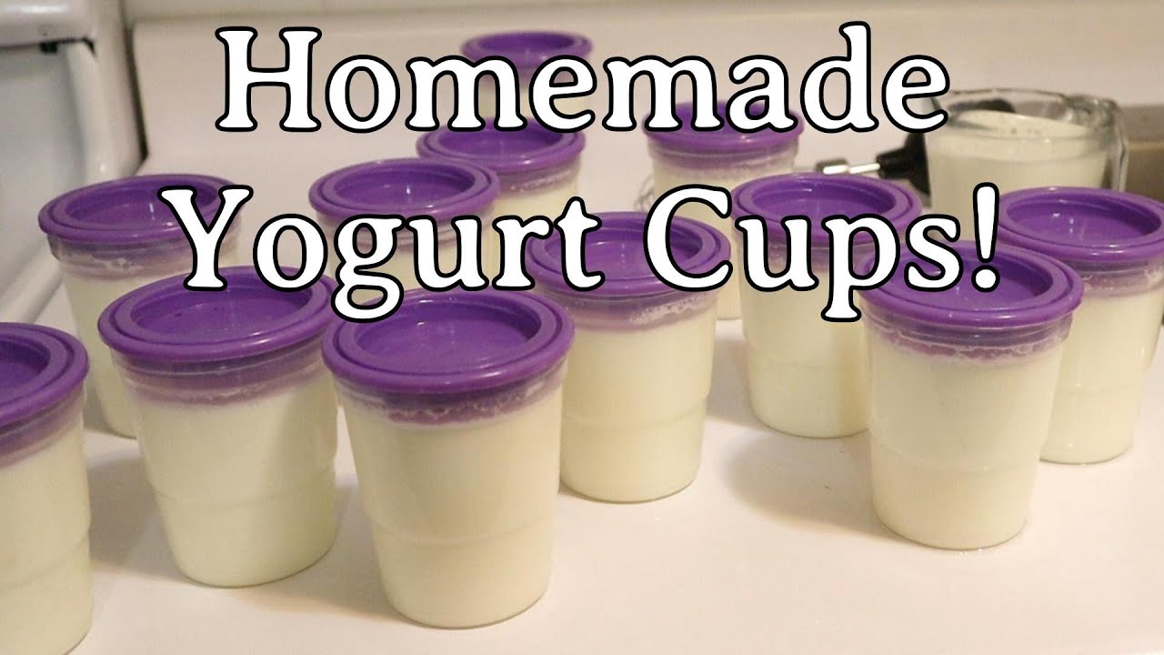 Homemade Yogurt Cups - YouTube