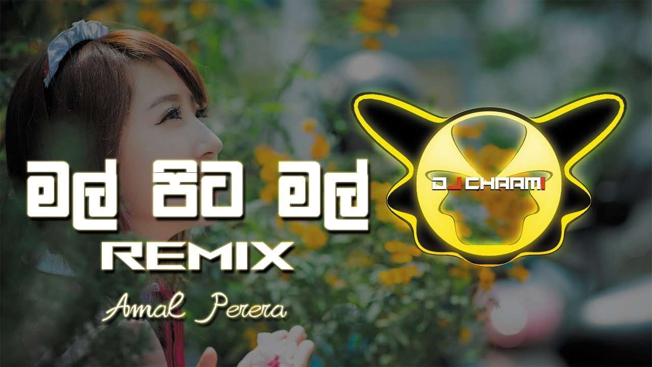 Mal Pita Mal Reggae Remix DJ CHAAMI - YouTube