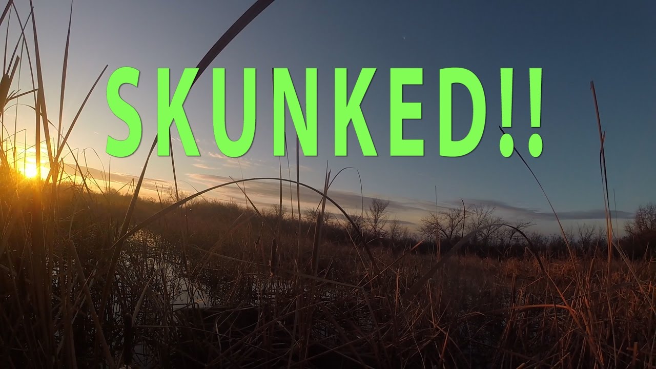 SKUNKED| Kansas Duck Hunting - YouTube