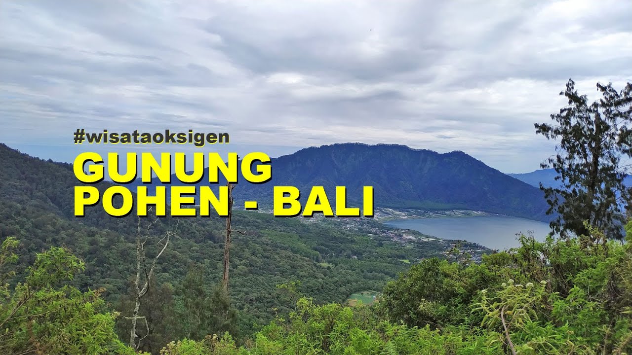 Pendakian Gunung Pohen - Bali #WisataOksigen - YouTube