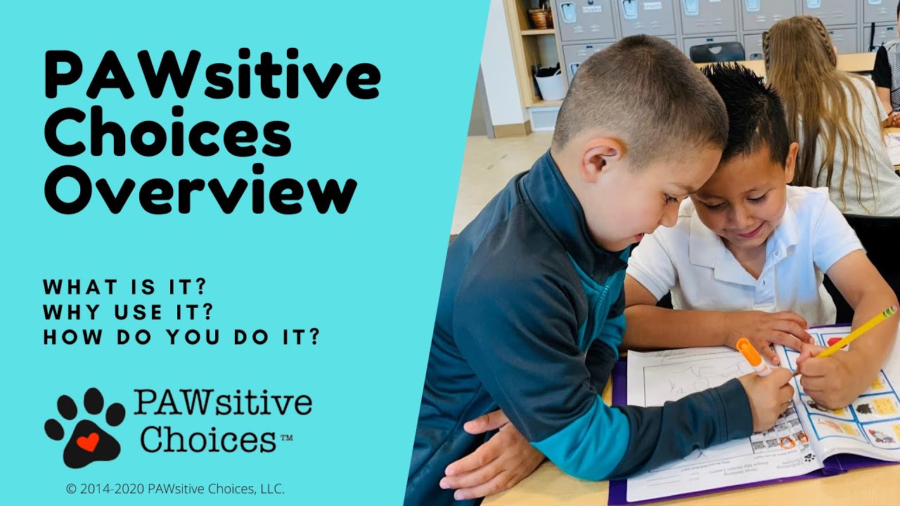 PAWsitive Choices Overview - YouTube