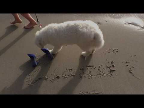Mario Marino - Cilento Fortepiano